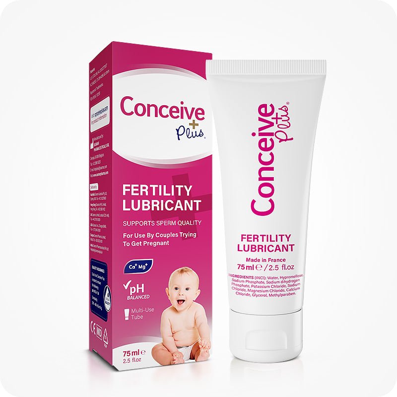 What Does Gestation Mean in Depth | Conceive Plus® – Conceive Plus ...